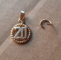 number 20 Charms in silver or gold for bracelet or chain| made in Australia